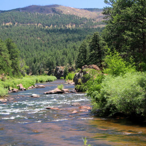 About Us - Discover Deckers Colorado